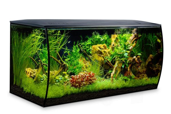 Fluval Flex 123 ltr - Sort