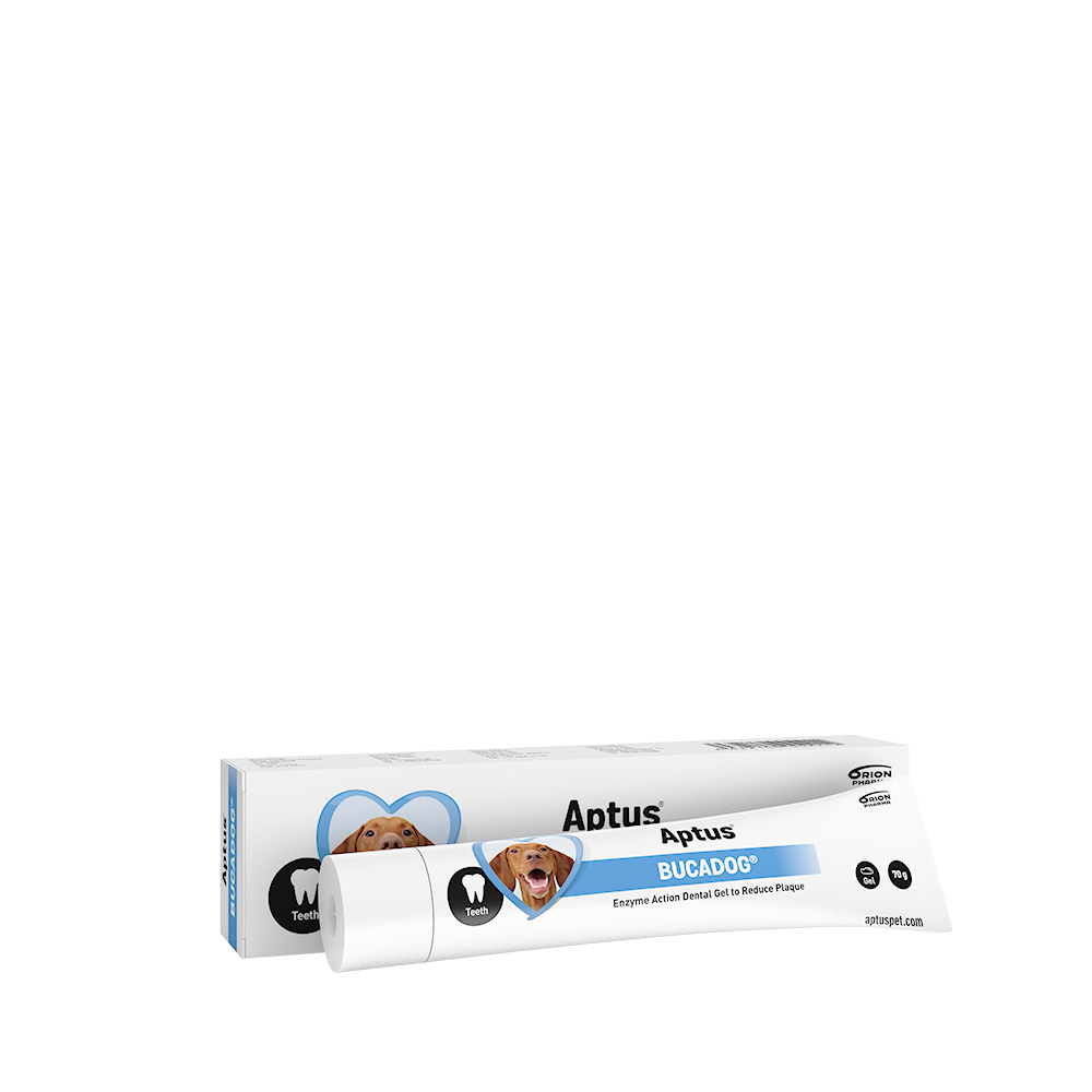 APTUS BUCADOG DENTAL GEL 70g